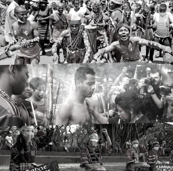 IPRI in 2020 Highlights: Championing Indigenous Peoples rights amid the ...